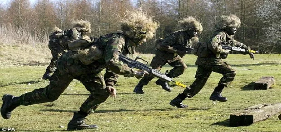 Branding Insights From Military Codenames Like Python Dance, Crocodile ...