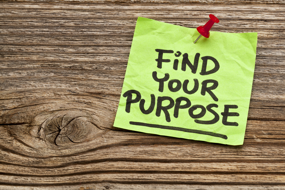 Define Your Career Purpose - Tekedia