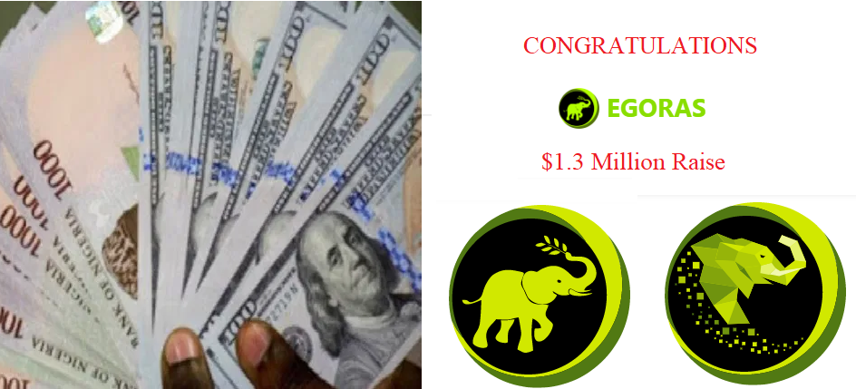 Nigeria's Egoras Raises $1.3 Million in Private Round - Tekedia