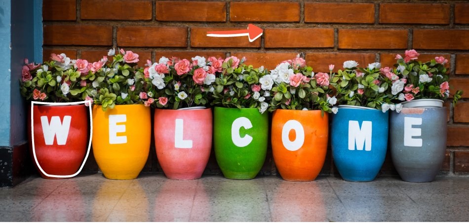 Welcome Project Champions, Welcome Innovators - Logins Sent for Tekedia ...