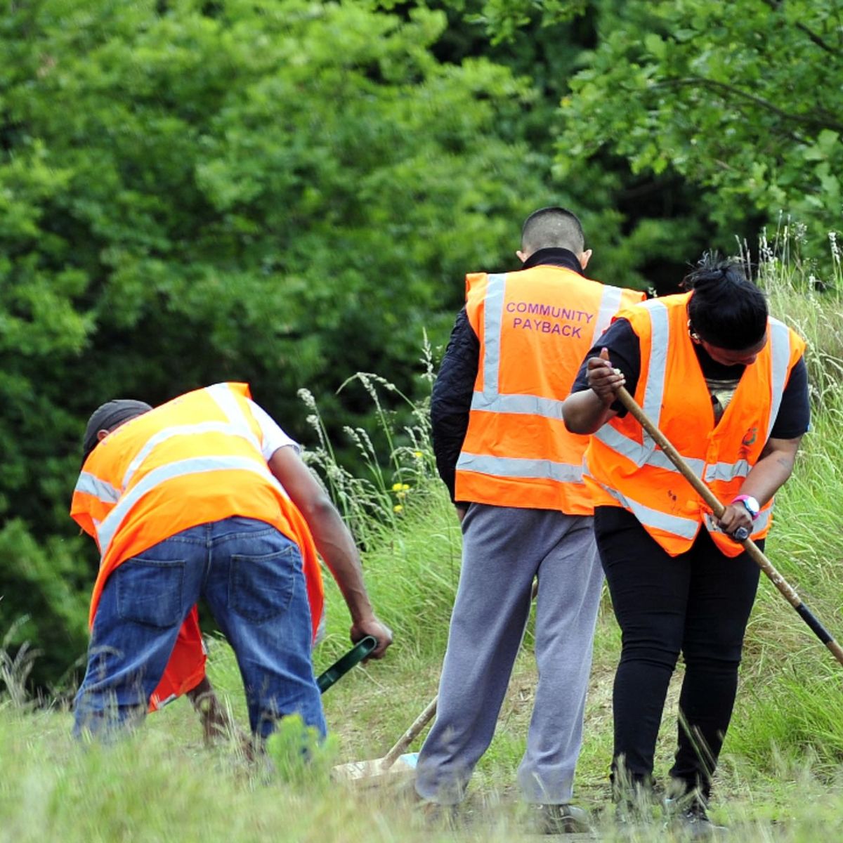 Sentenced to perform community service - Tekedia