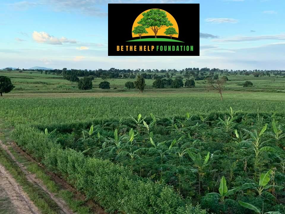 Tekedia Institute Welcomes Be The Help Foundation - Tekedia Tekedia Institute Welcomes Be The Help Foundation - Tekedia