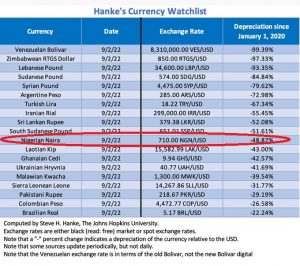 Naira Ranks 11th in the List of 19 Worst Performing Currencies in the World for 2022 - Tekedia