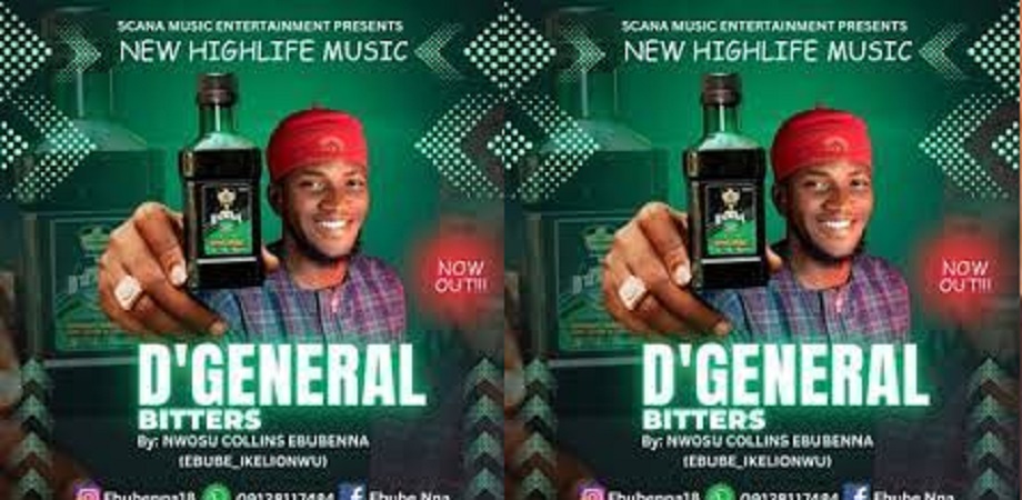 How well will D’General Bitters do in the Nigerian market ? - Tekedia