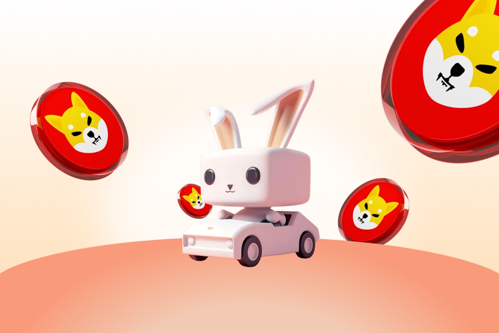 Render Holders Are Swapping Out Shiba Inu For Breakout Star Raboo: Here ...