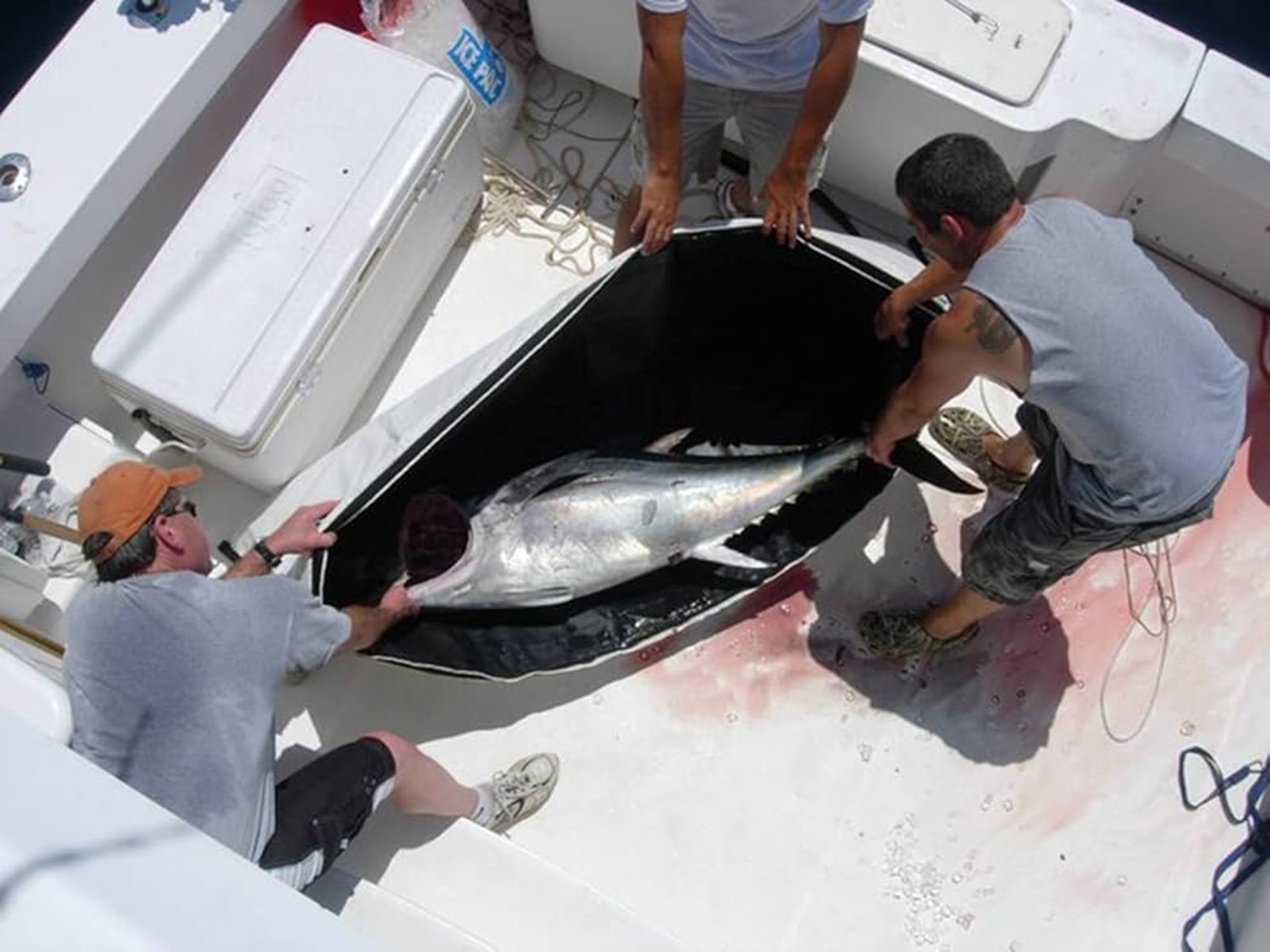 How to Choose the Best Fish Kill Bag for Your Next Fishing Adventure ...