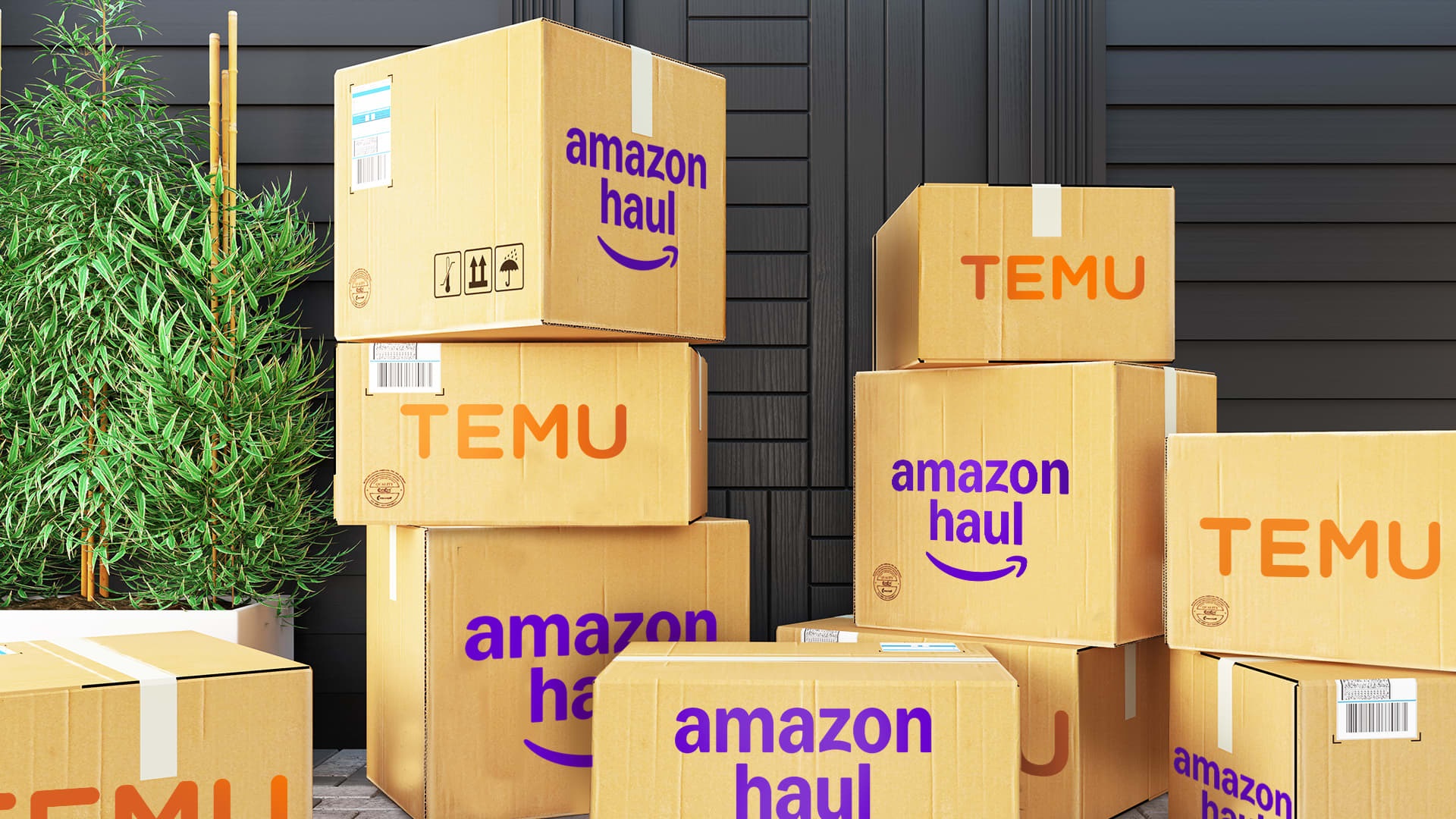 Amazon Plans Global Expansion For Its Discount Storefront Haul, to Take ...
