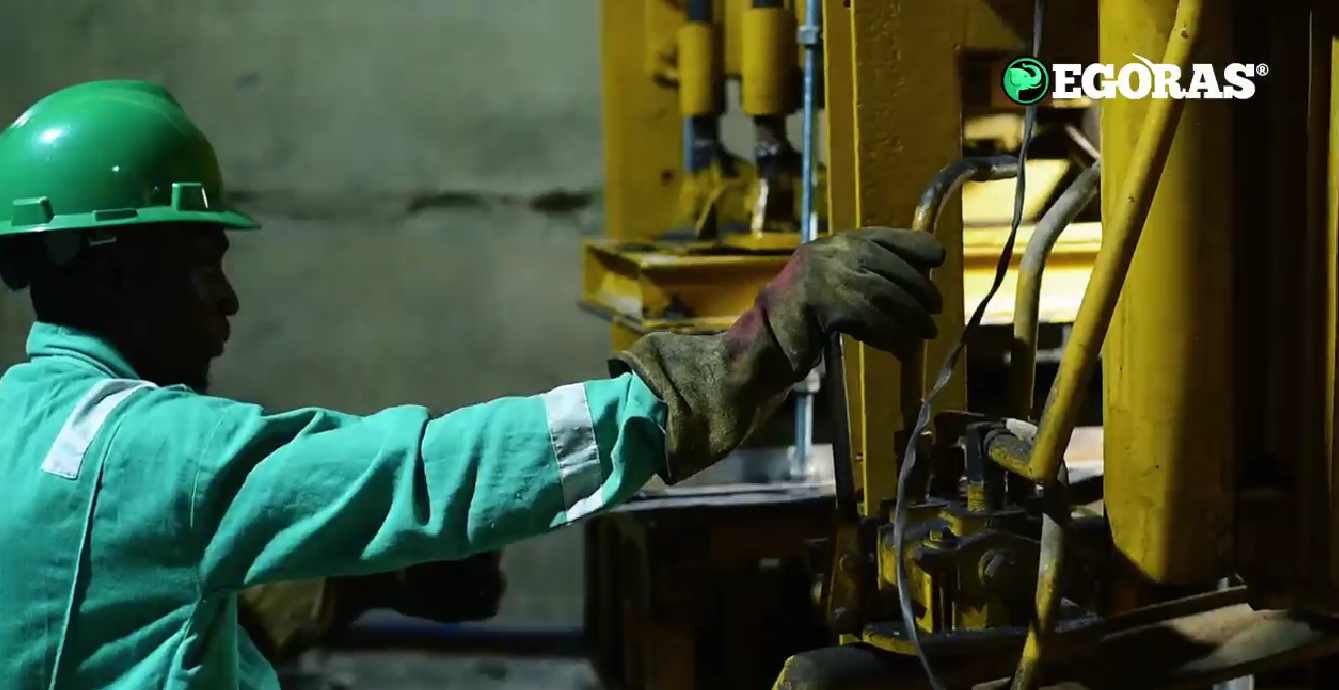 Egoras, Backed by Tekedia Capital: A Journey of Growth [video] - Tekedia